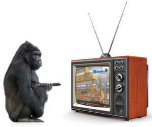 Bushman Equipment Videos | Bushman Equipment, Inc.